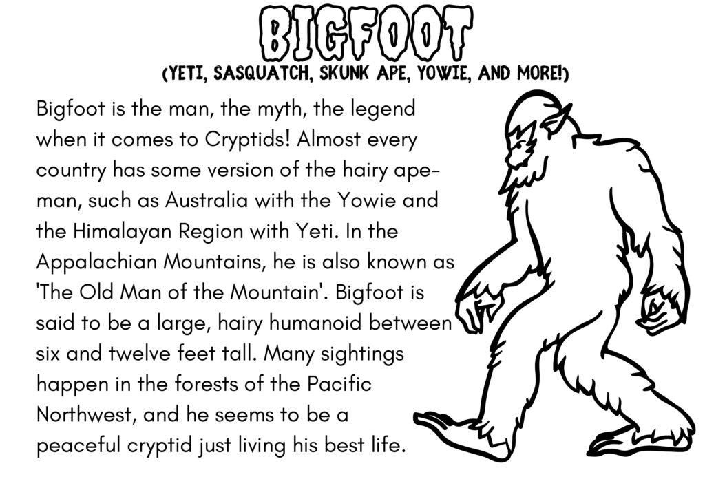 Kids Hunt Bigfoot, Nessie, and Other Cryptids with Help from Their ...
